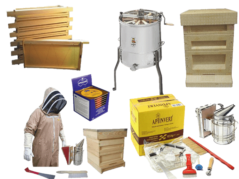 What Are the Essential Beekeeping Supplies for Beginners? - LooperBuy