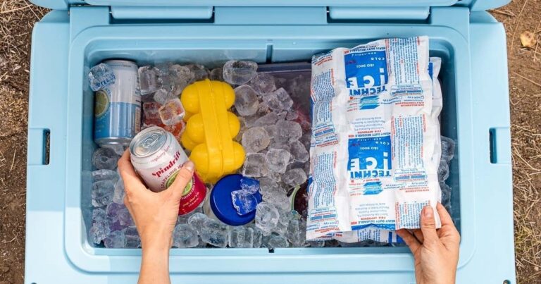 The Essential Guide to Lunch Box Ice Packs - LooperBuy