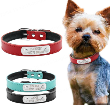 The Complete Guide to Pet Collars: History, Types, and Care - LooperBuy