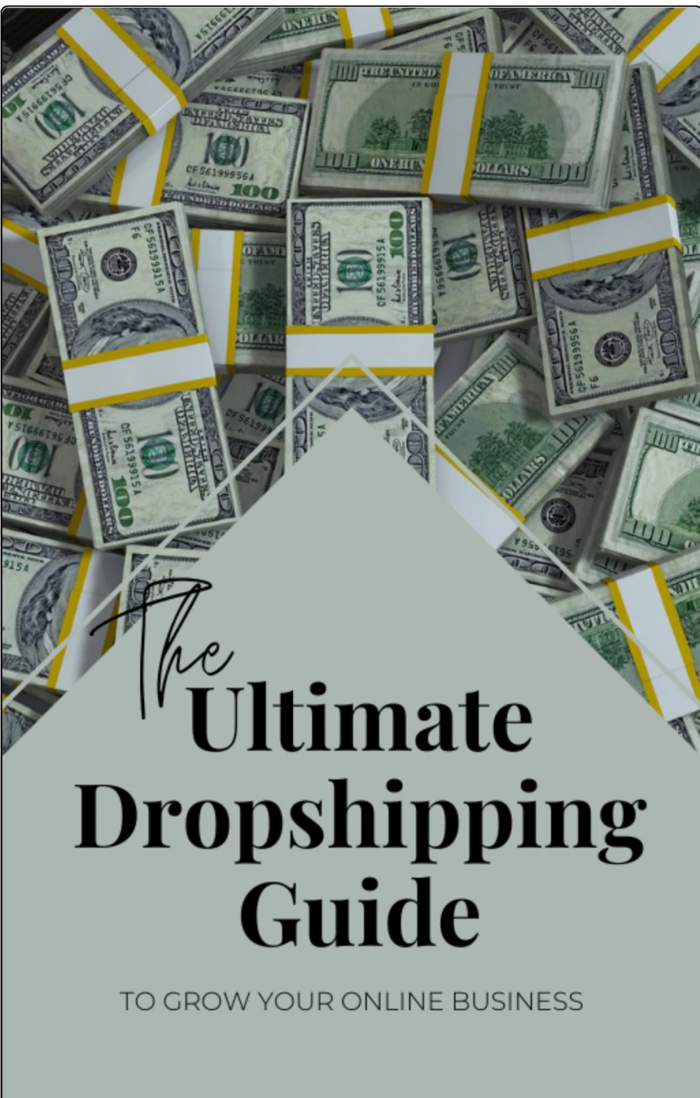 The Ultimate Guide to Starting Your Drop Shipping Business Successfully ...